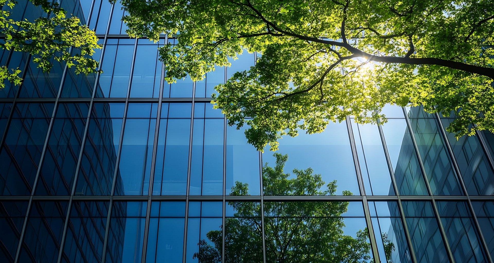 Sustainability | MaxCap Group